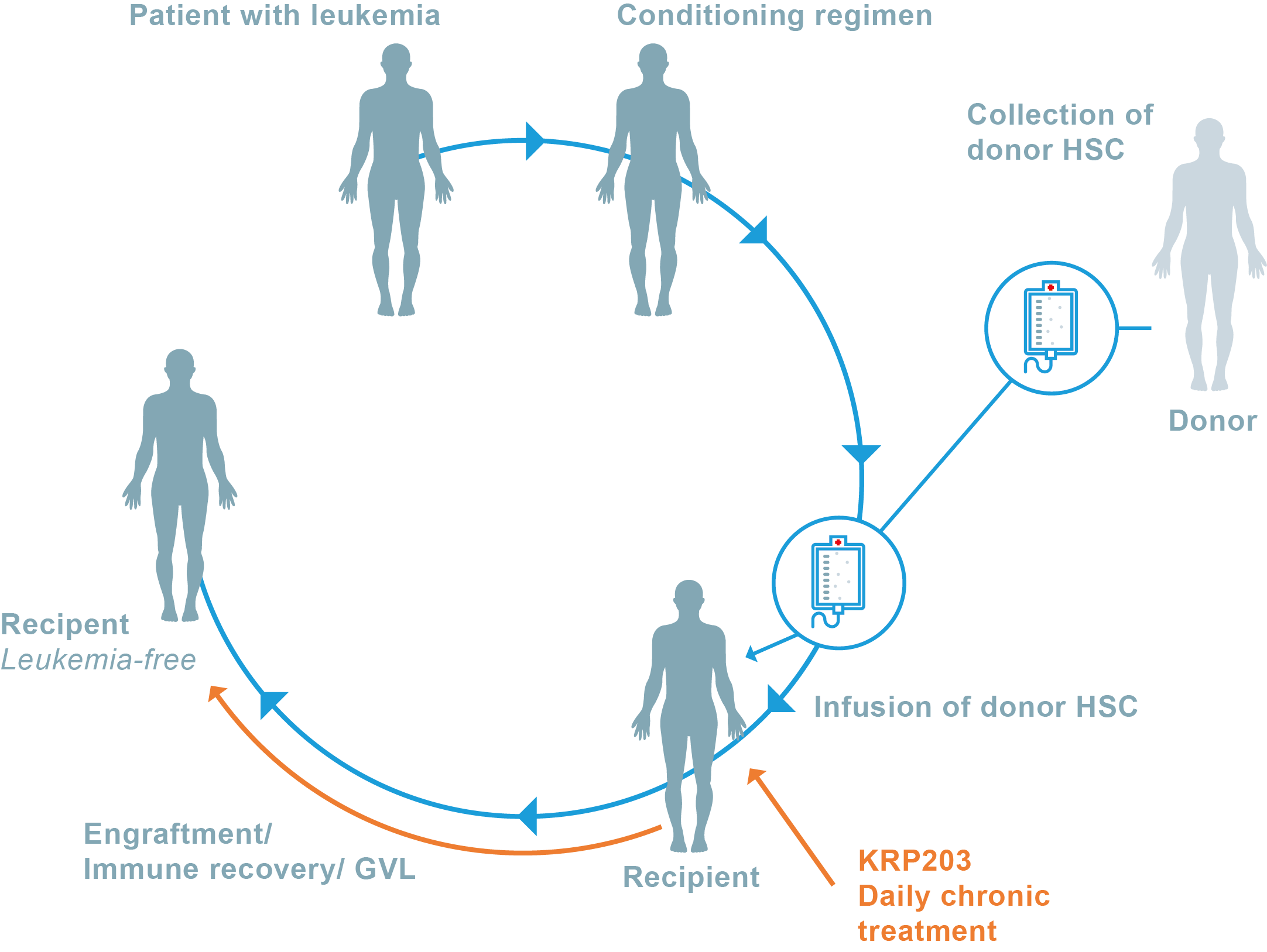 Hematopoietic Cell Transplantation Priothera